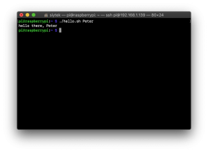 How To Write A BASH Script With Arguments – Siytek