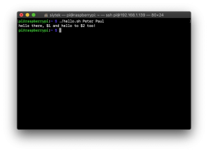 How To Write A BASH Script With Arguments – Siytek