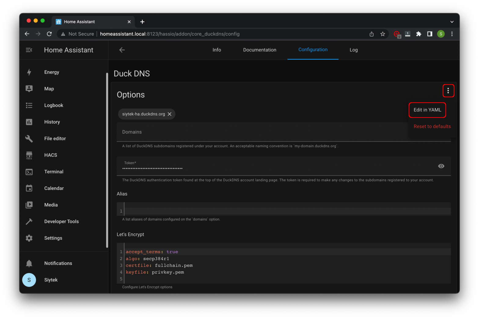 How do I Securely Access Home Assistant Remotely & For FREE? – Siytek